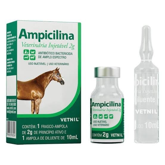 BORGAL – 50 ML | Vetpharma | Medicamentos Veterinários