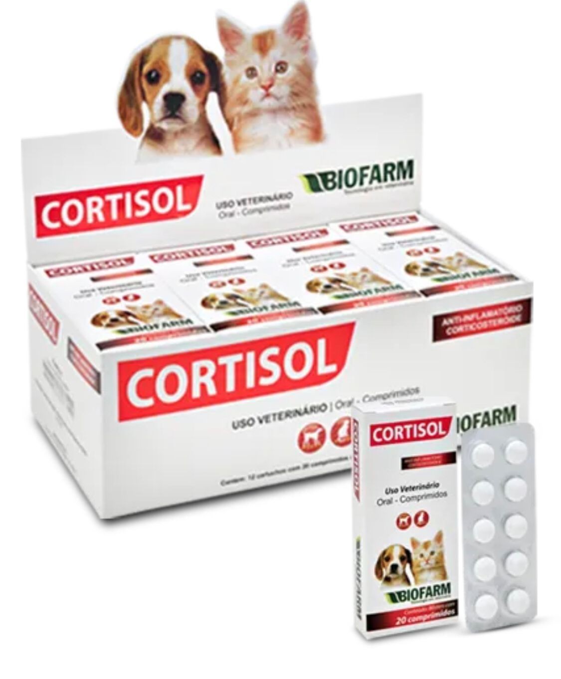 BORGAL – 50 ML | Vetpharma | Medicamentos Veterinários